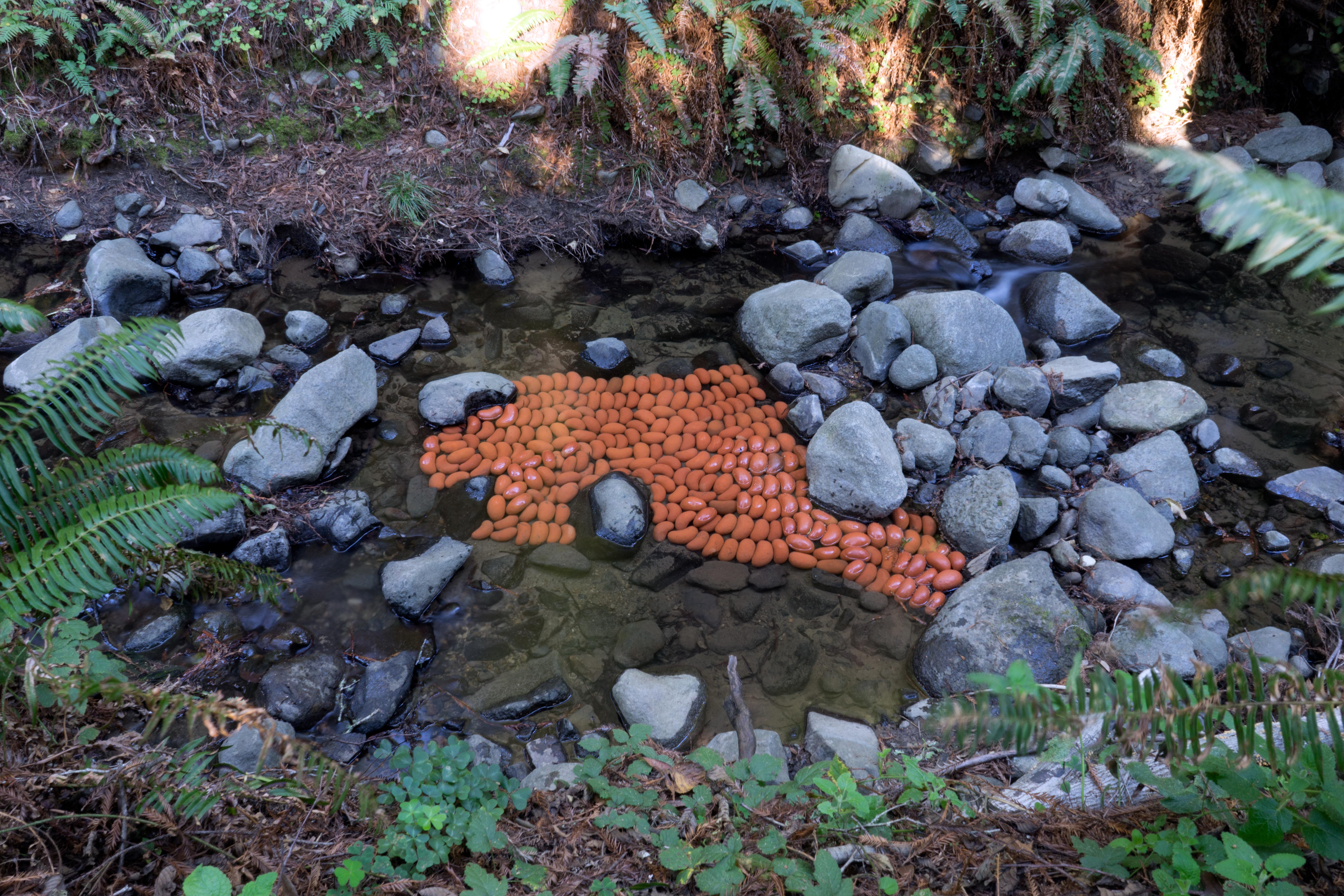 Archaea, 2018 – Tanja Geis