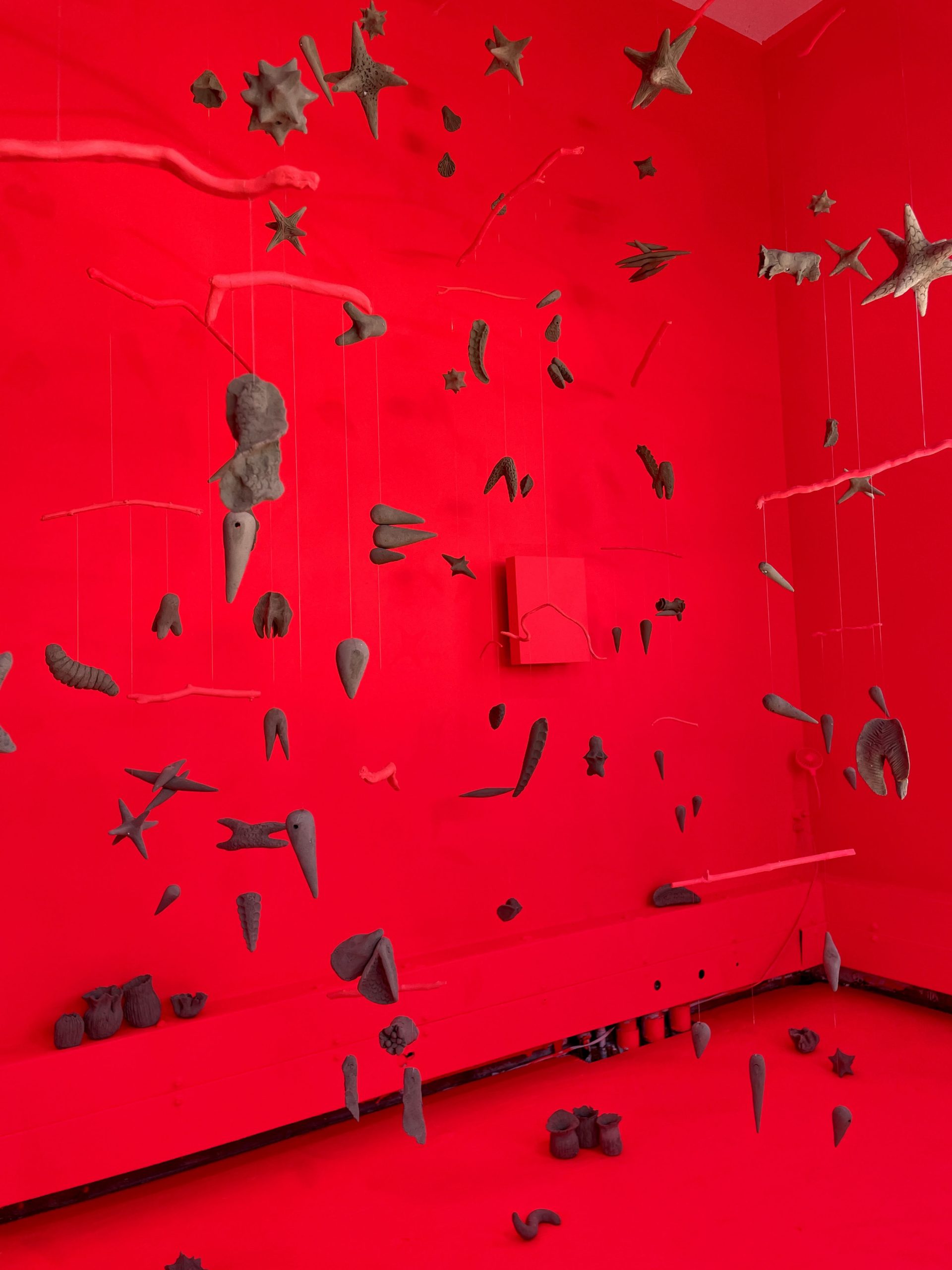 2024 Smithsonian Artist Research Fellowship (SARF) - Tanja Geis