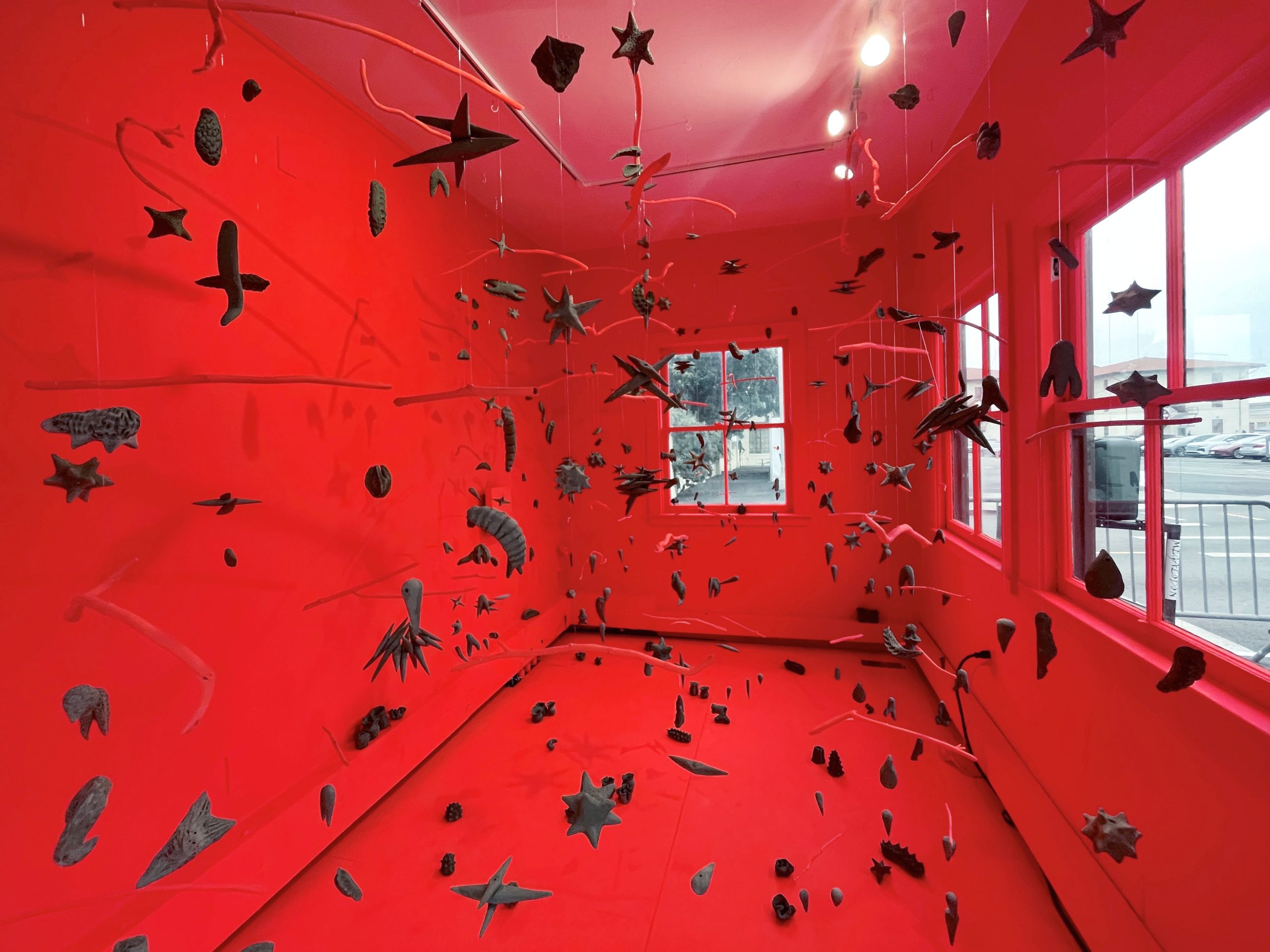 2024 Smithsonian Artist Research Fellowship (SARF) - Tanja Geis